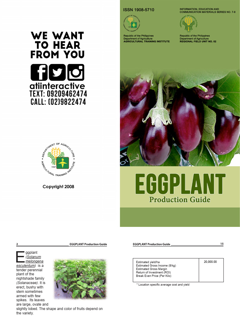 Eggplant | PDF | Mulch | Sowing