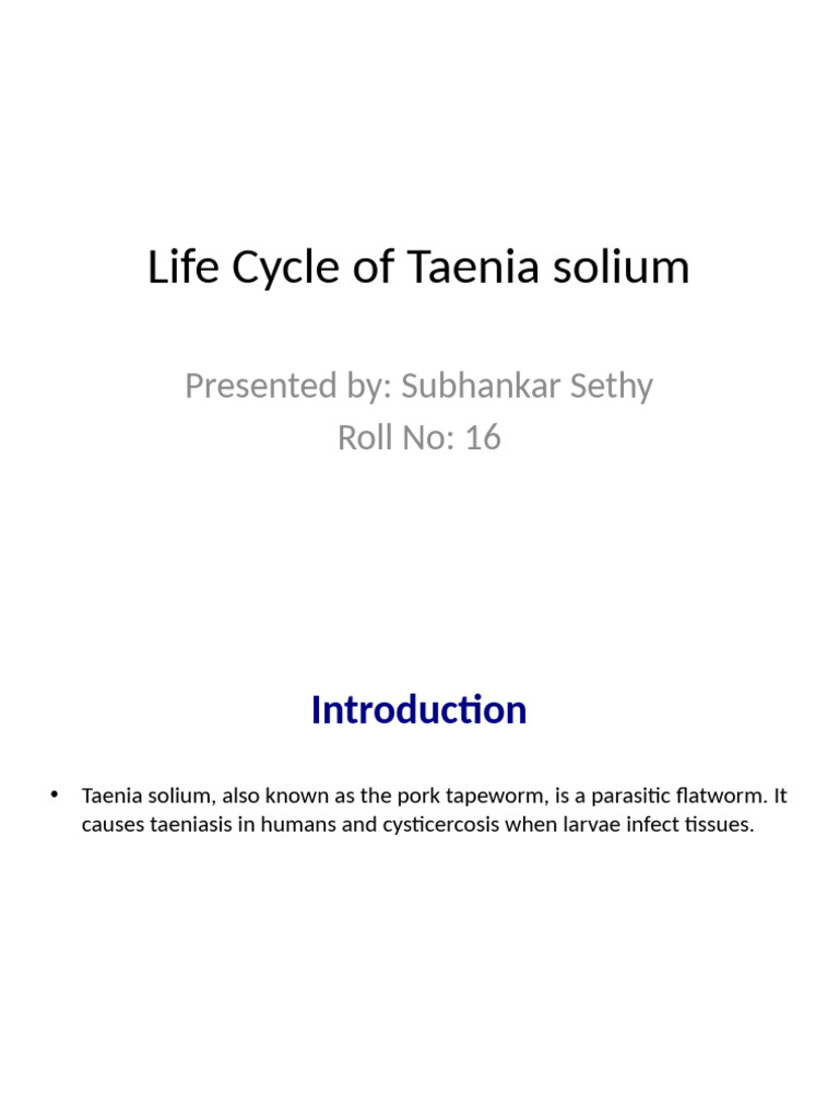 Life Cycle of Taenia Solium Subhankar Sethy v2 | PDF