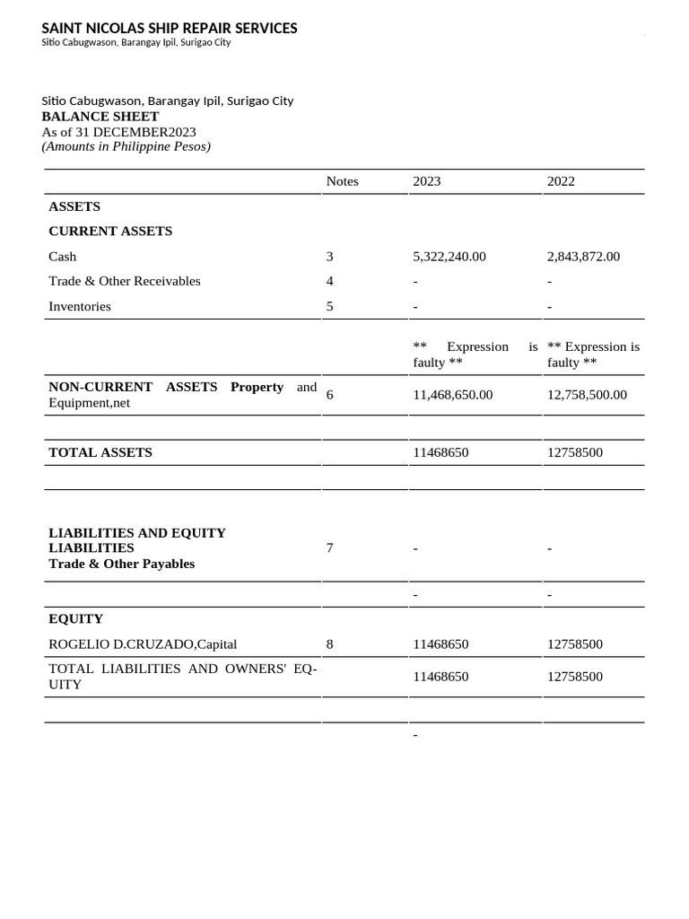 Feasibility Study For Mani Sale | PDF | Equity (Finance) | Expense