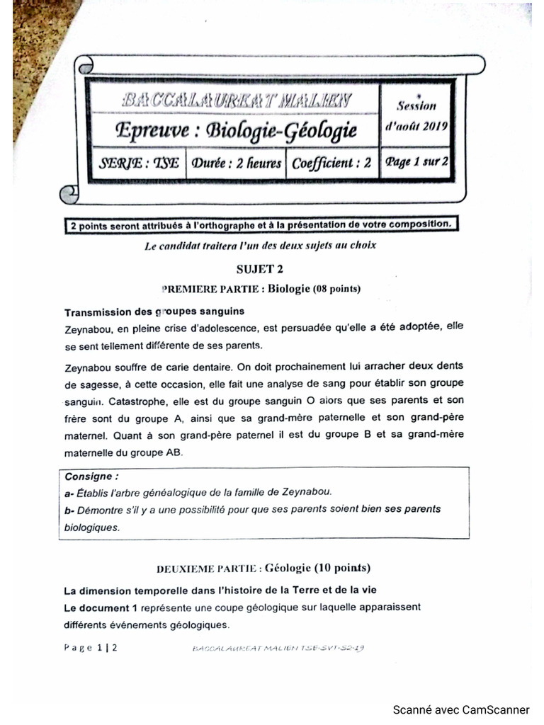 Bac TSE 2019 Sujet 2 | PDF