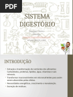 Quimo e Quilo | PDF | Digestão | Estômago