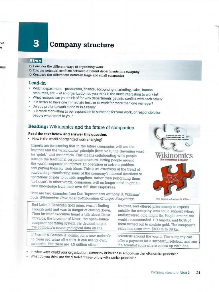 Unit 3 - Company Structure (I. MacKenzie, English For Business Studies) | PDF