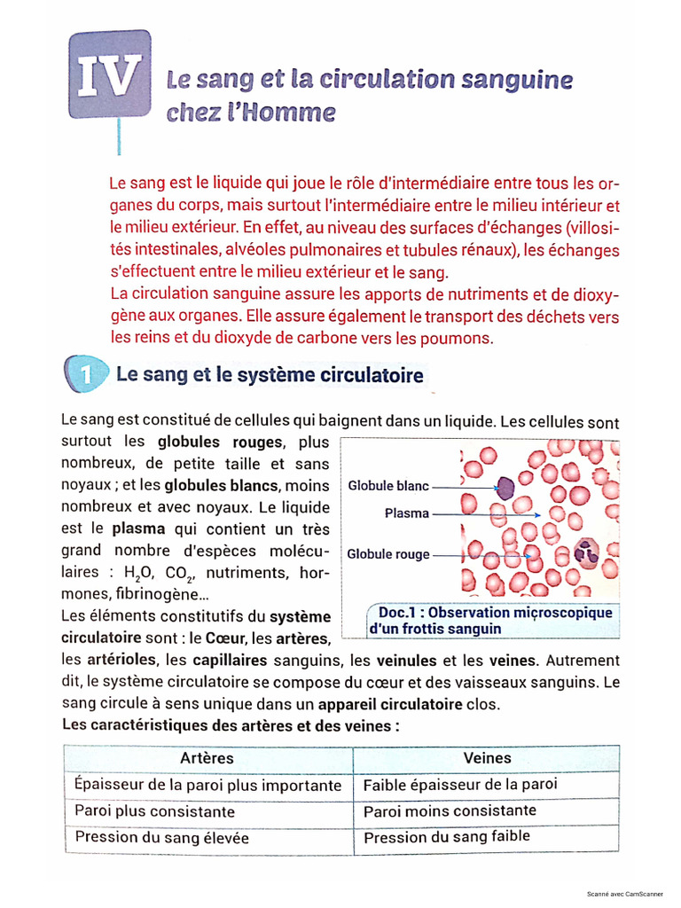 Le Sang Et La Circulation Sanguine Chez L'homme Cours | PDF