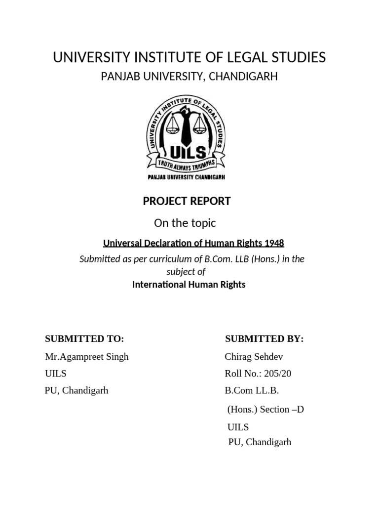 Chirag Sehdev,205, Sec-D, IHR (1) | PDF | Human Rights | Rights