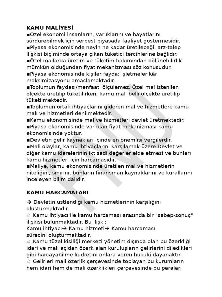 Kamu Maliyesi Vize | PDF
