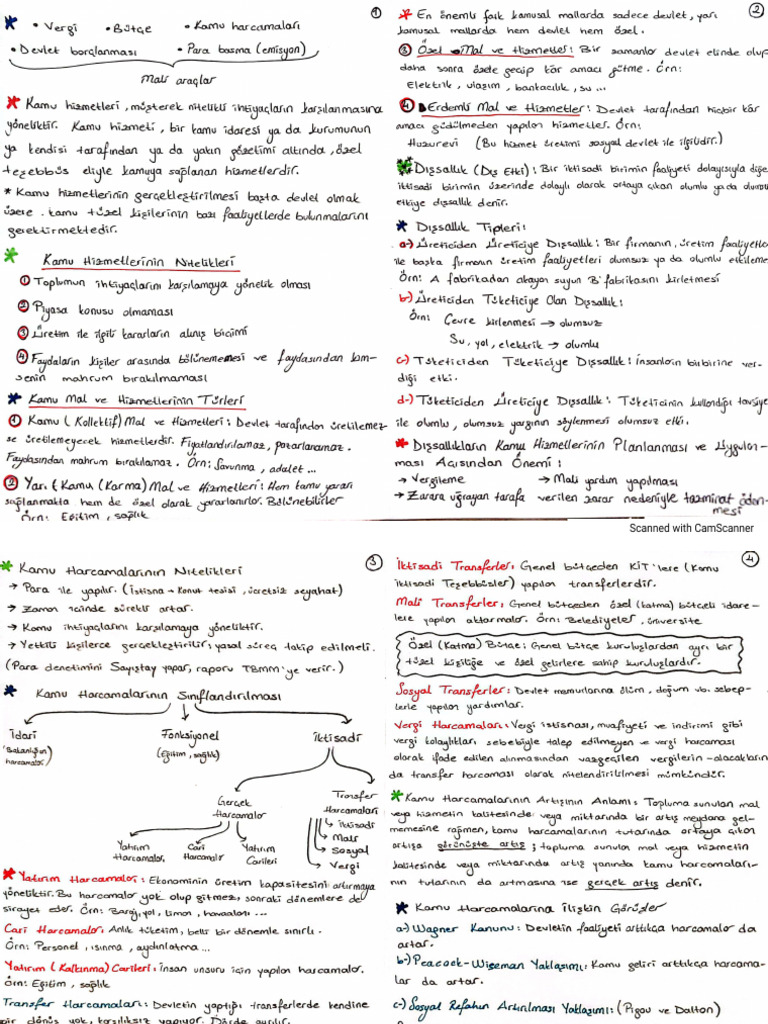 Kamu Maliyesi I Vize Ayşenas-Gamzenur | PDF