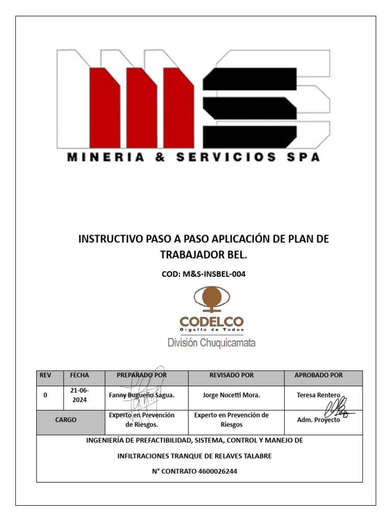 04 cod M&S-INSBEL-004 Instructivo paso a paso aplicacion de plan de ...