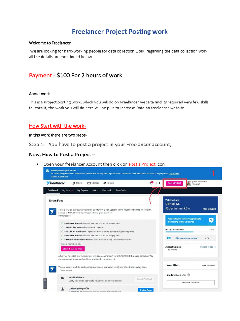 Freelancer Data Posting Guide | PDF