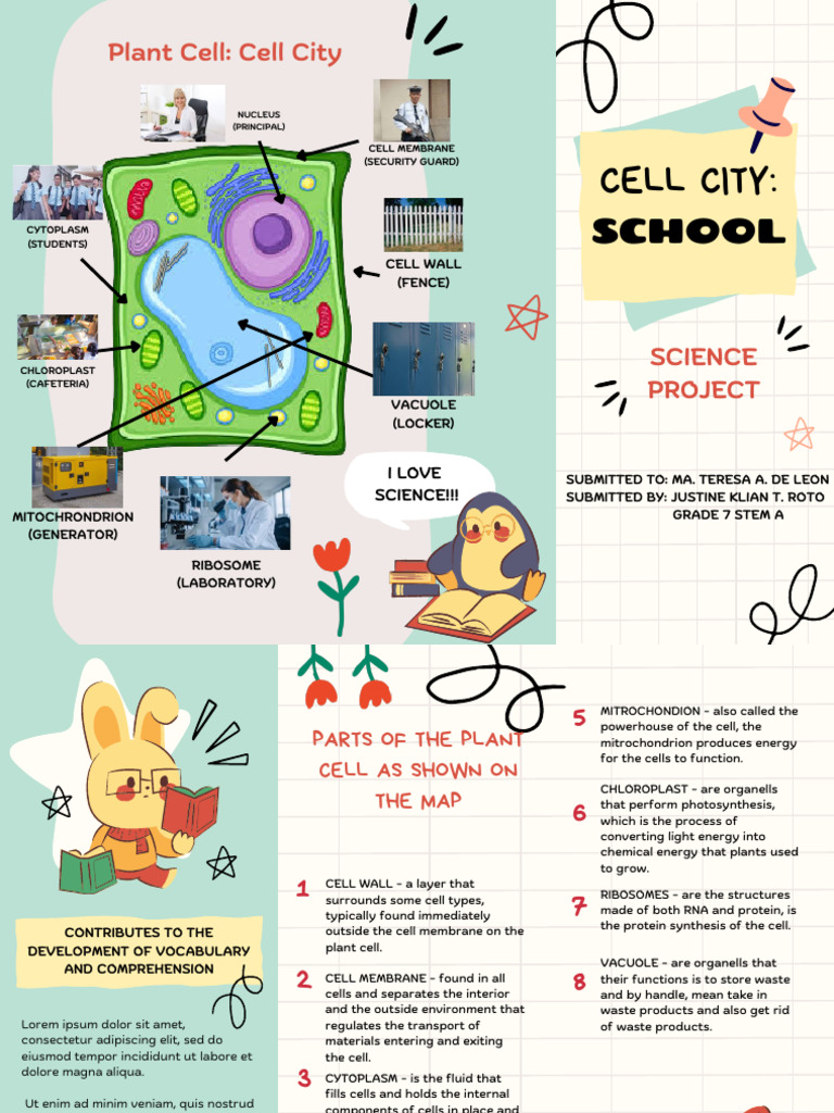 CELL CITY SCHOOL | PDF | Cell (Biology) | Chloroplast