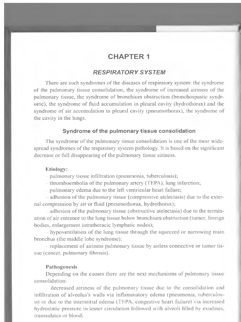 Respiratory System Pathologies Explained | PDF | Lung | Bronchitis