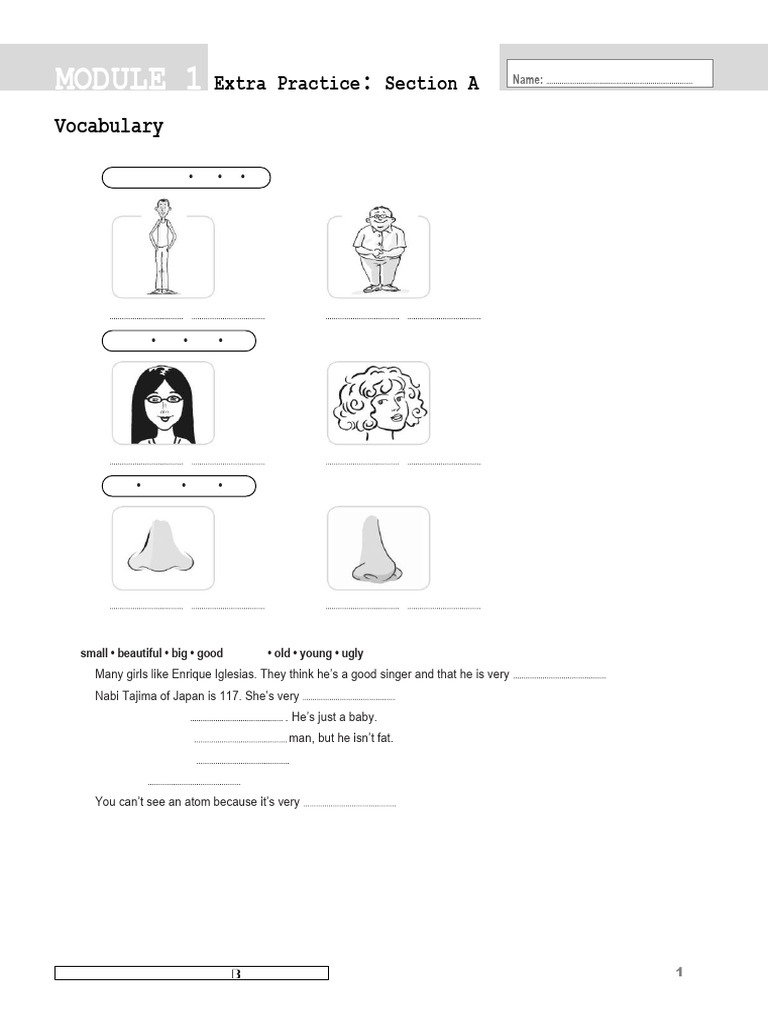ESO Skirts Vocabulary and Grammar Practice | PDF | Skirt | Mammals
