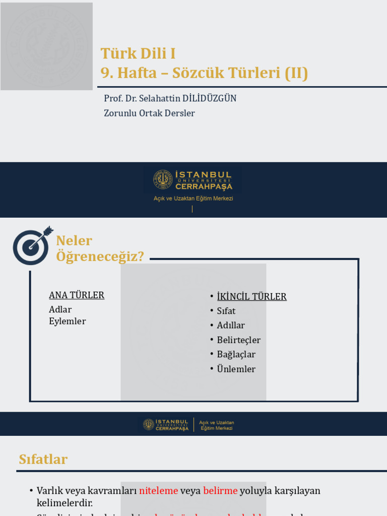 9. Hafta - Türk Dili I - Prof.Dr. Selahattin DİLİDÜZGÜN | PDF