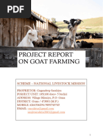 Goat Farming Project Report 500 20 Goats | PDF | Goat | Agriculture