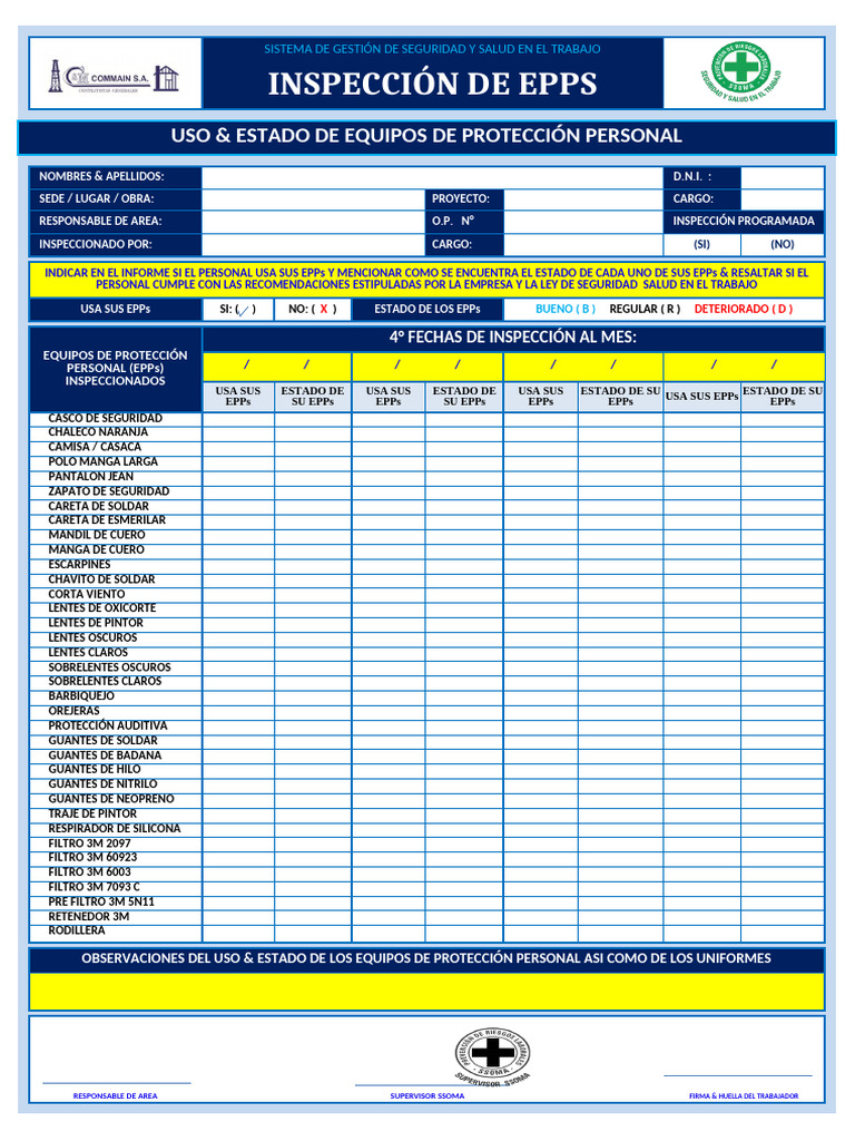 Formato de Entrega de EPPs | PDF