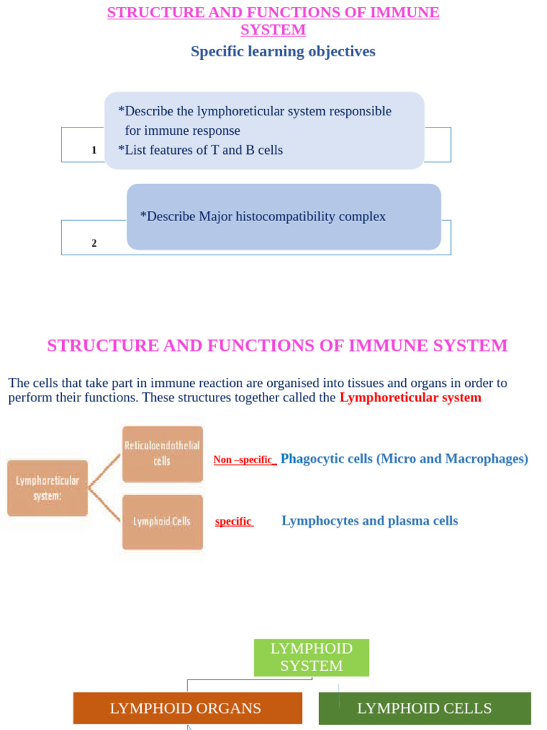 Structure and Functions of Immune System | PDF | Lymphocyte | Lymphatic ...