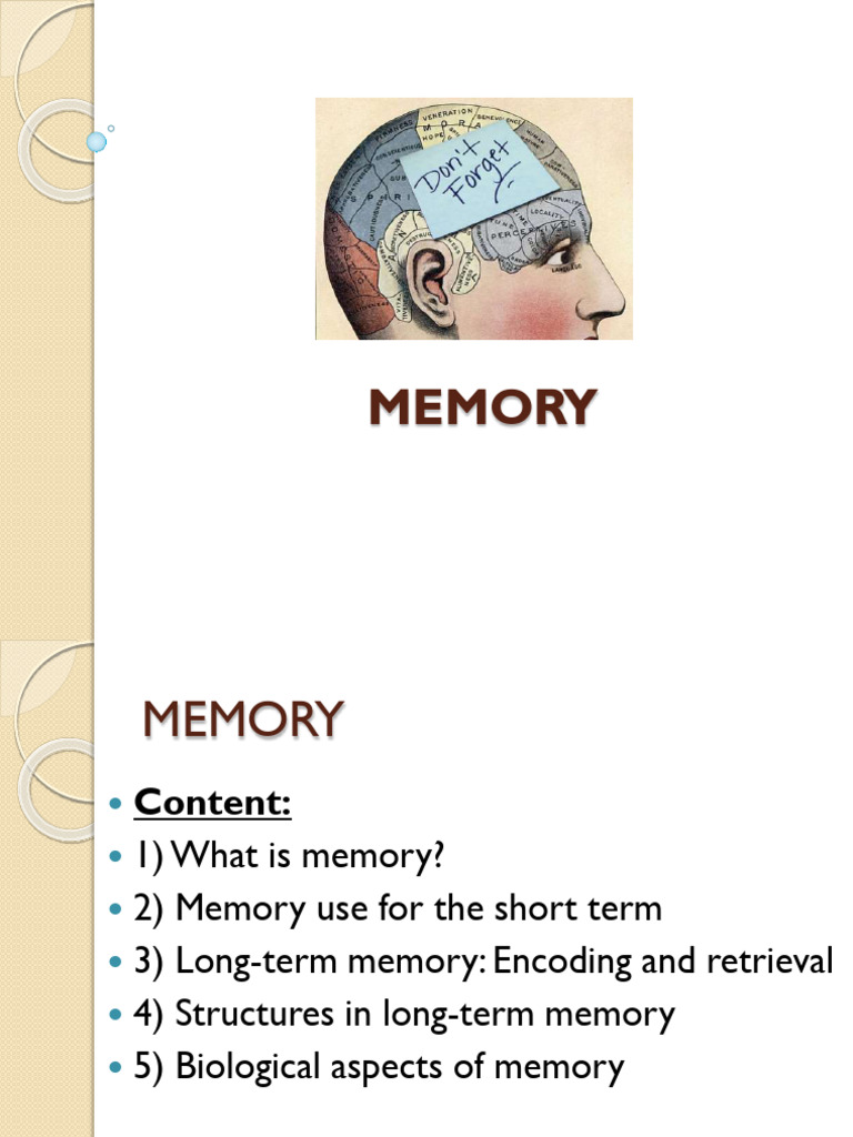 7-MEMORY-GZ | PDF | Memory | Recall (Memory)