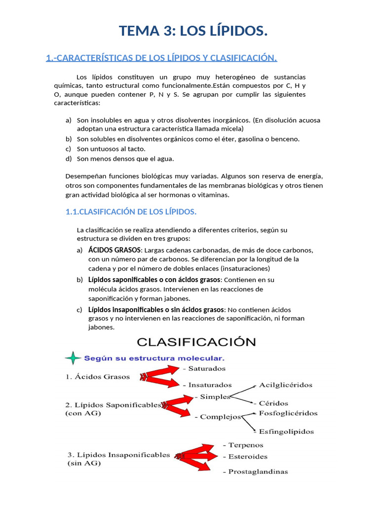 Características y Clasificación de Lípidos | PDF | Lípido | Ácido graso