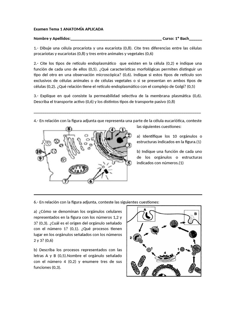 Examen Célula | PDF