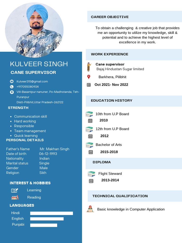 Kulveer Resume | PDF