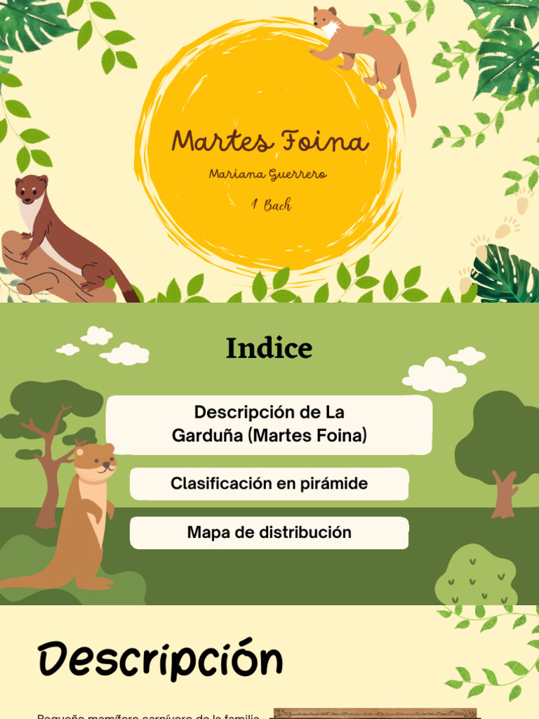 Guía de la Garduña para Estudiantes | PDF