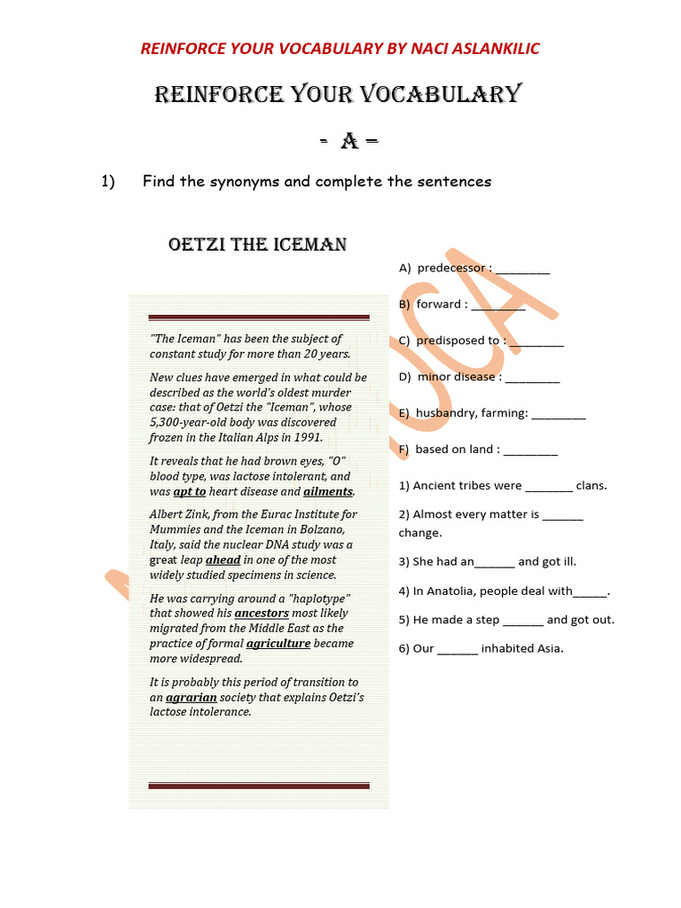 A-B-C-ReINFORCE-YOUR-VOCABULARY | PDF