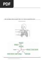 IIITH UGEE Question Paper 2025 | PDF | Acid | Ph