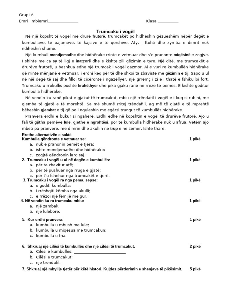 Grupi A | PDF
