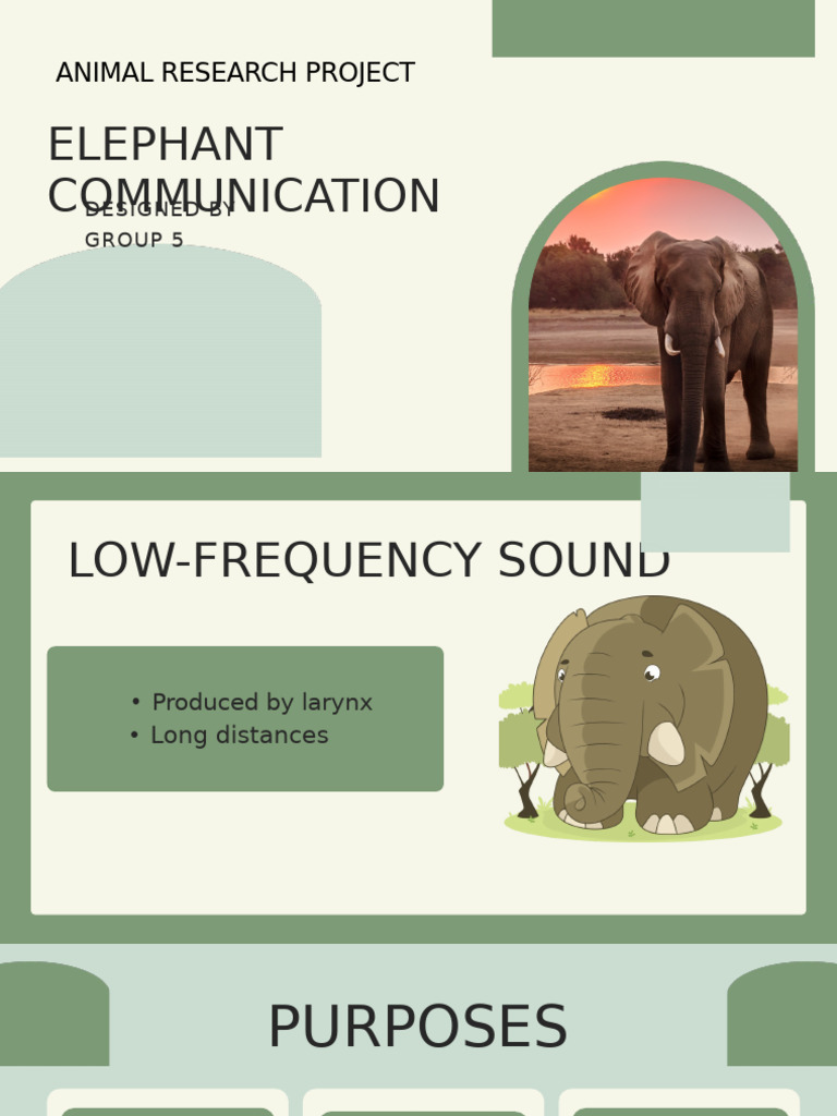 All About Animal Research Project Presentation in Green Simple Style | PDF