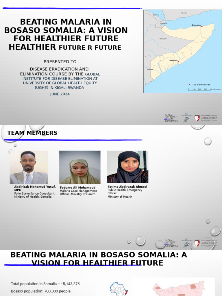 Presentation Upd | PDF | Mosquito Net | Malaria