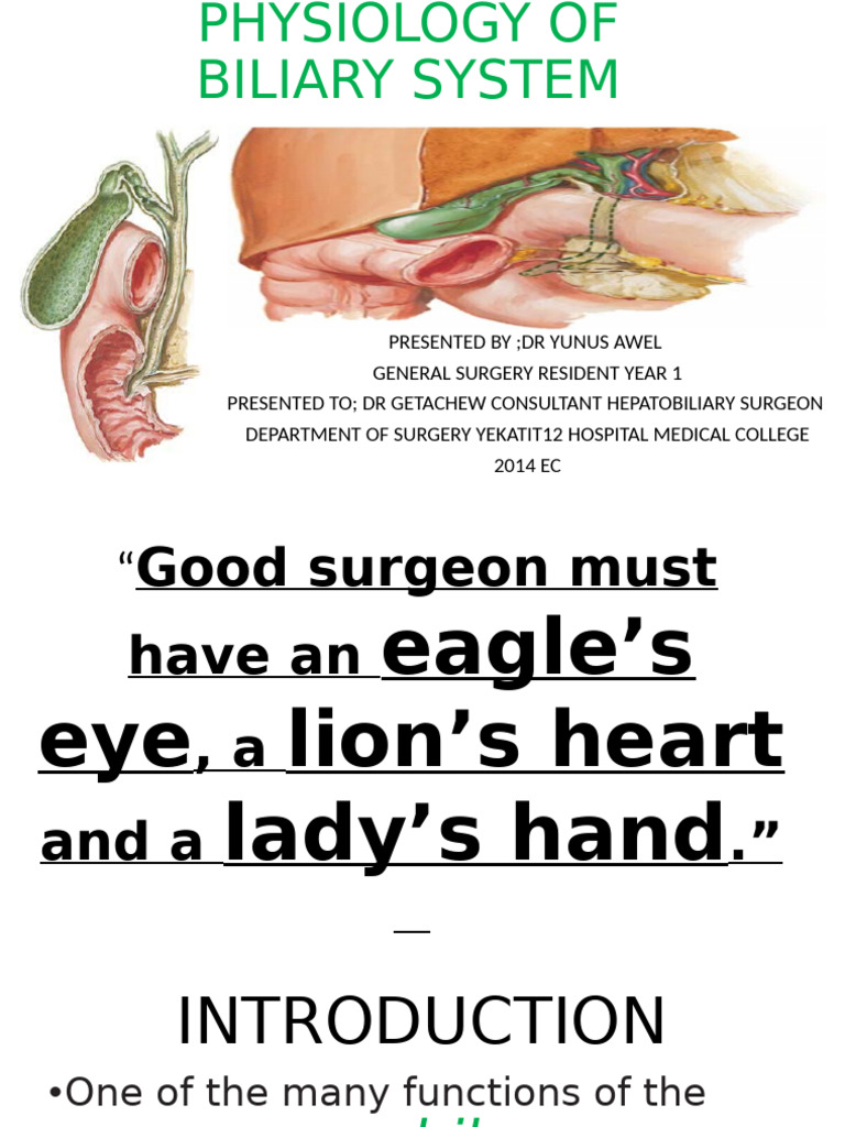 Anatomy and Physiology of Biliary System-1 (2) (1) | PDF | Liver ...