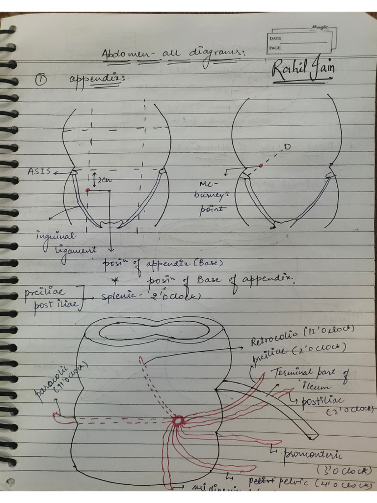 Abdomen Major Diagrams! 240729 152116 | PDF