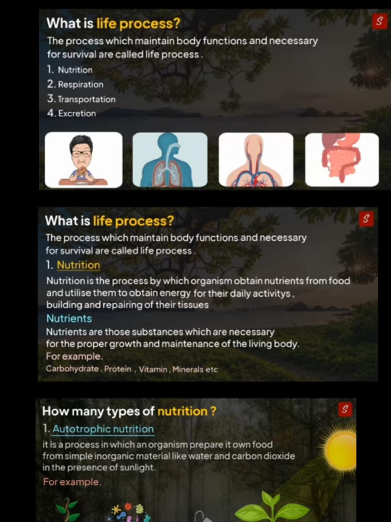 Biology Chapter 1 Class 10th | PDF
