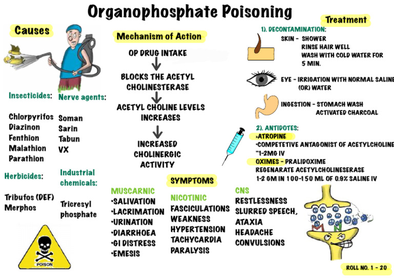 Organophosphate Poisoning | PDF | Toxicology | Drugs