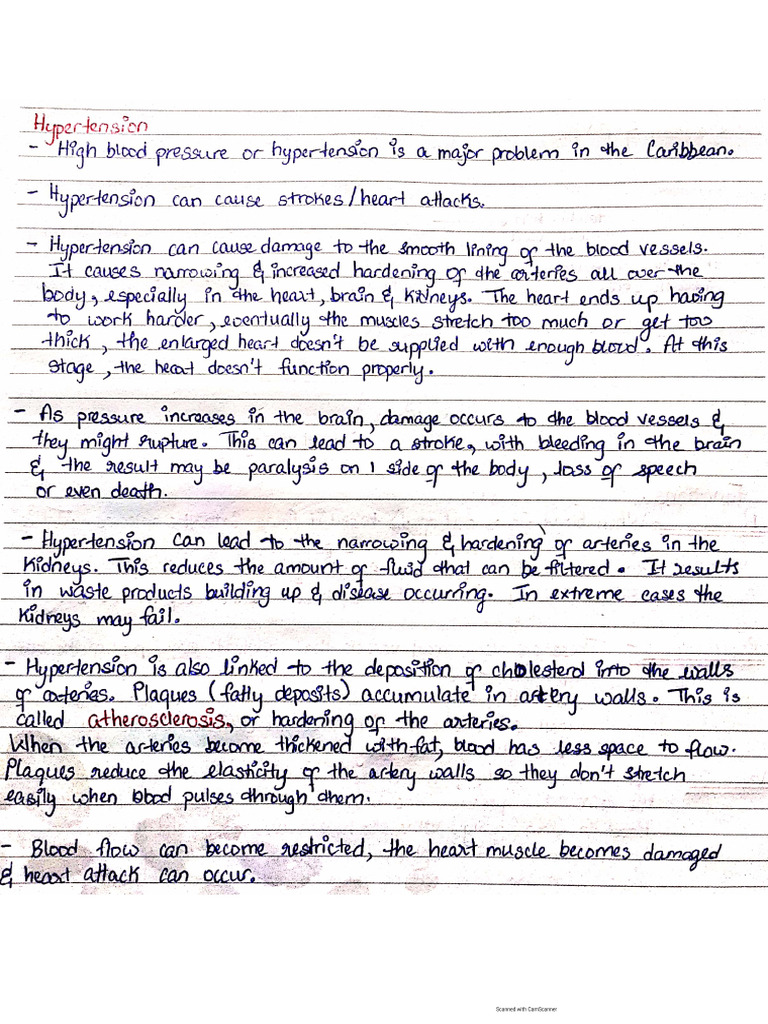 Hypertension and Main Blood Vessels | PDF