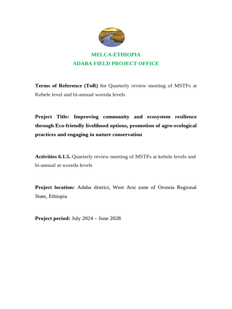 Terms of Reference MSTF | PDF