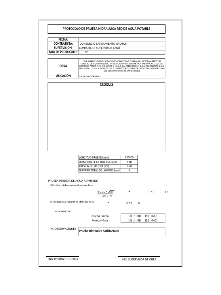 Protocolo Red Matriz. Diaz Orrego | PDF