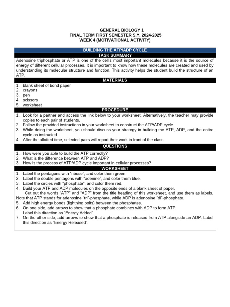 ATP/ADP Cycle Building Activity | PDF