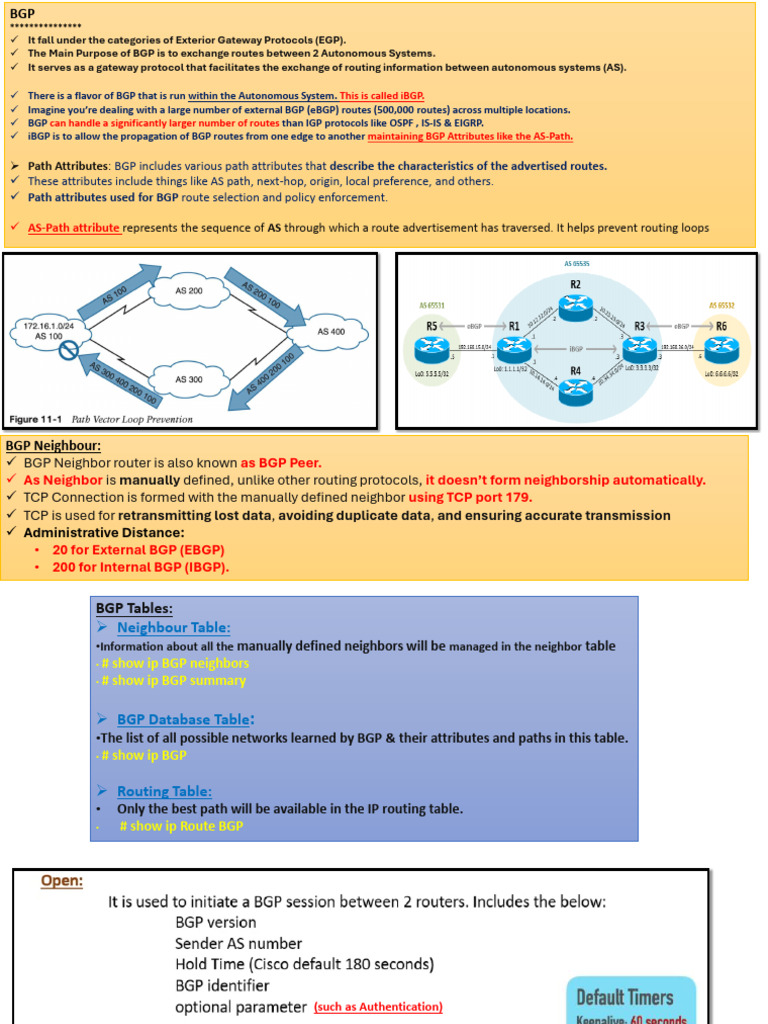 BGP Resume | PDF | Routing | Computing
