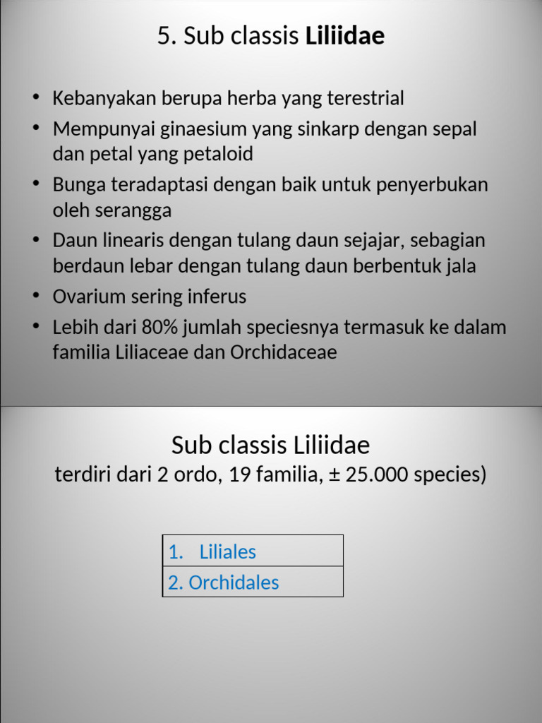 Contoh2 Suku Dalam Liliopsida | PDF