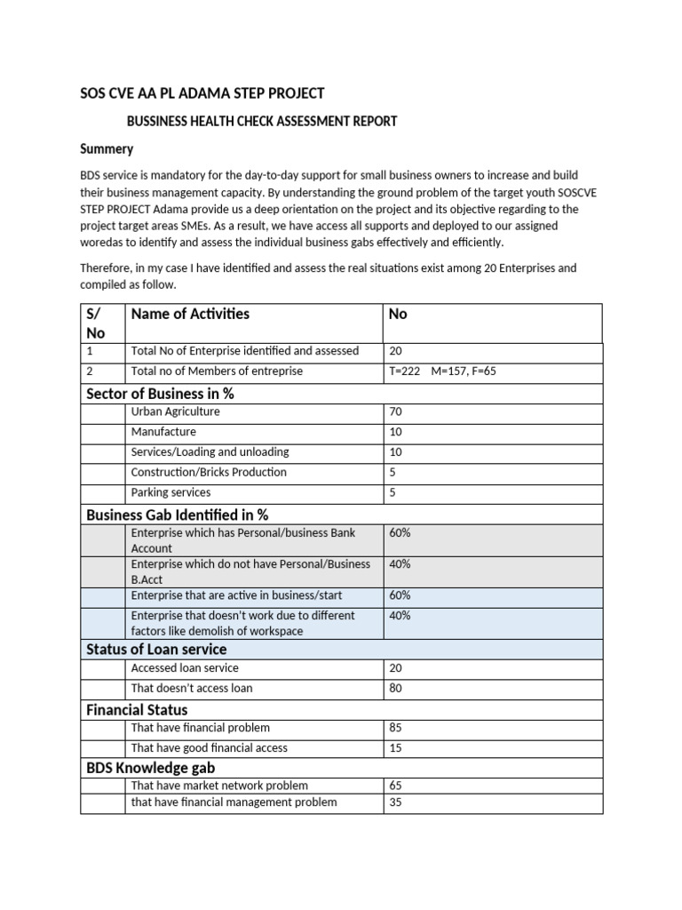 Business Health Check Assessment Report | PDF | Economies
