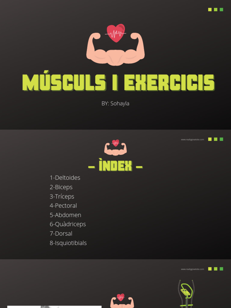 músculs i exercicis | PDF