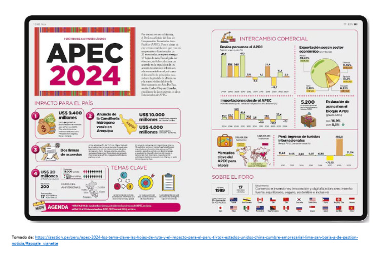 Infografía APEC (Formato A3) | PDF