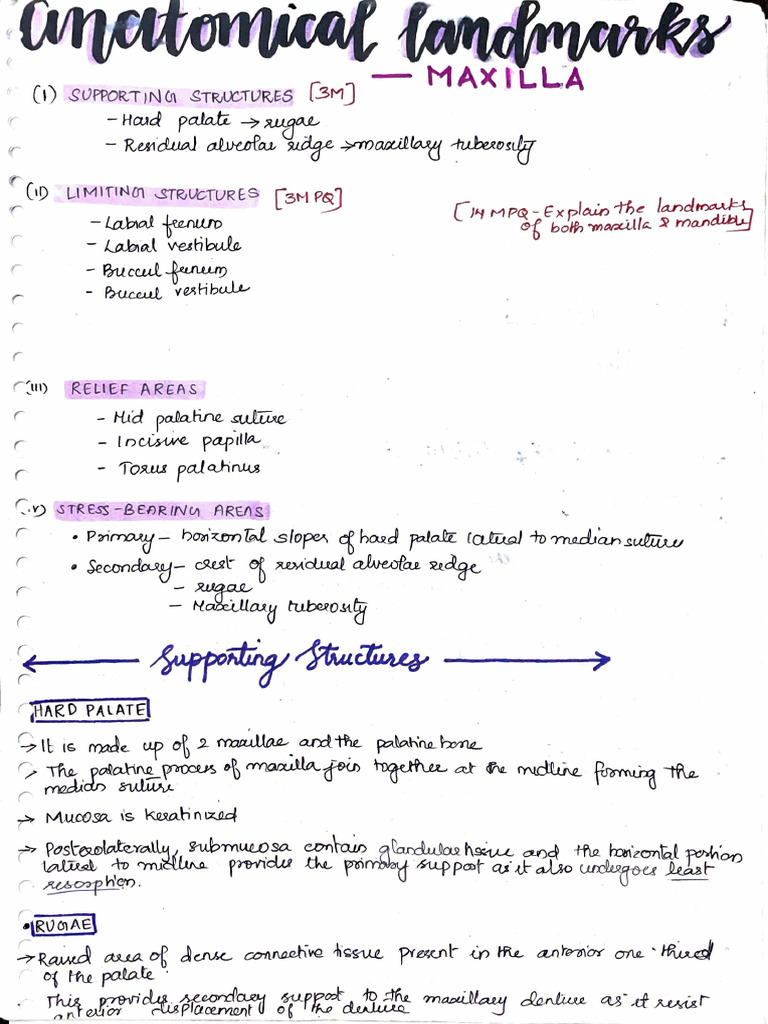 anatomical landmarks of maxilla | PDF