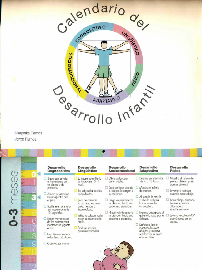 Calendario Del Desarrollo Infantil Margarita Ramos Jorge Ramos | PDF