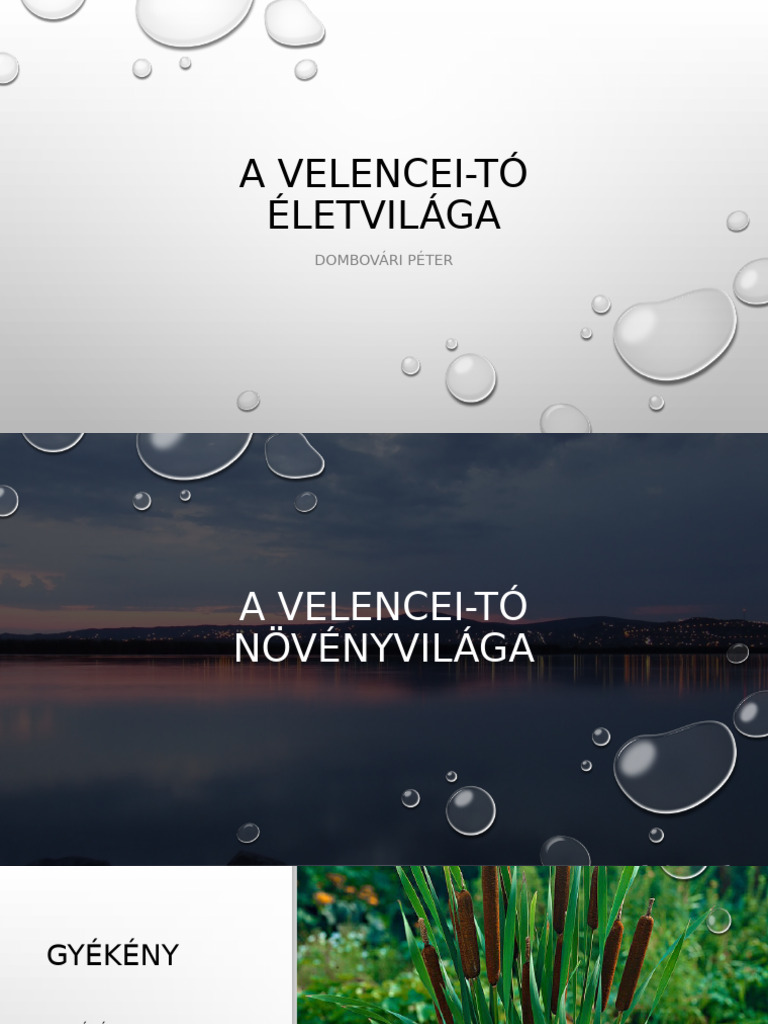 A Velencei-Tó Élővilága | PDF