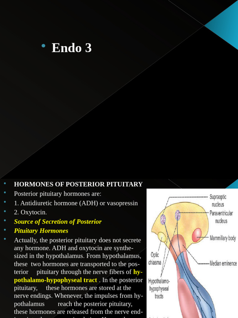 Endo-3 | PDF | Endocrine System | Glands