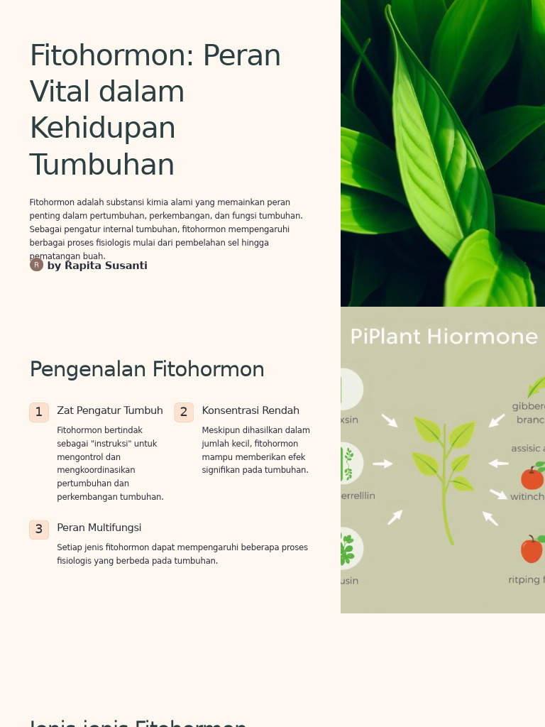 Fitohormon Peran Vital Dalam Kehidupan Tumbuhan | PDF