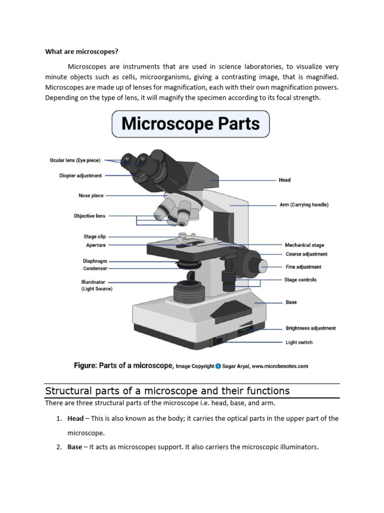 Microscope Basics for Science Students | PDF | Microscope | Glass ...