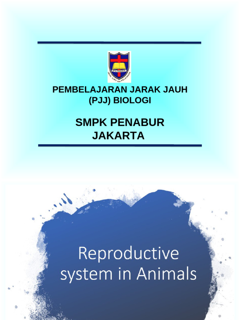 Animal Reproductive Systems Overview | PDF | Sex | Fertilisation