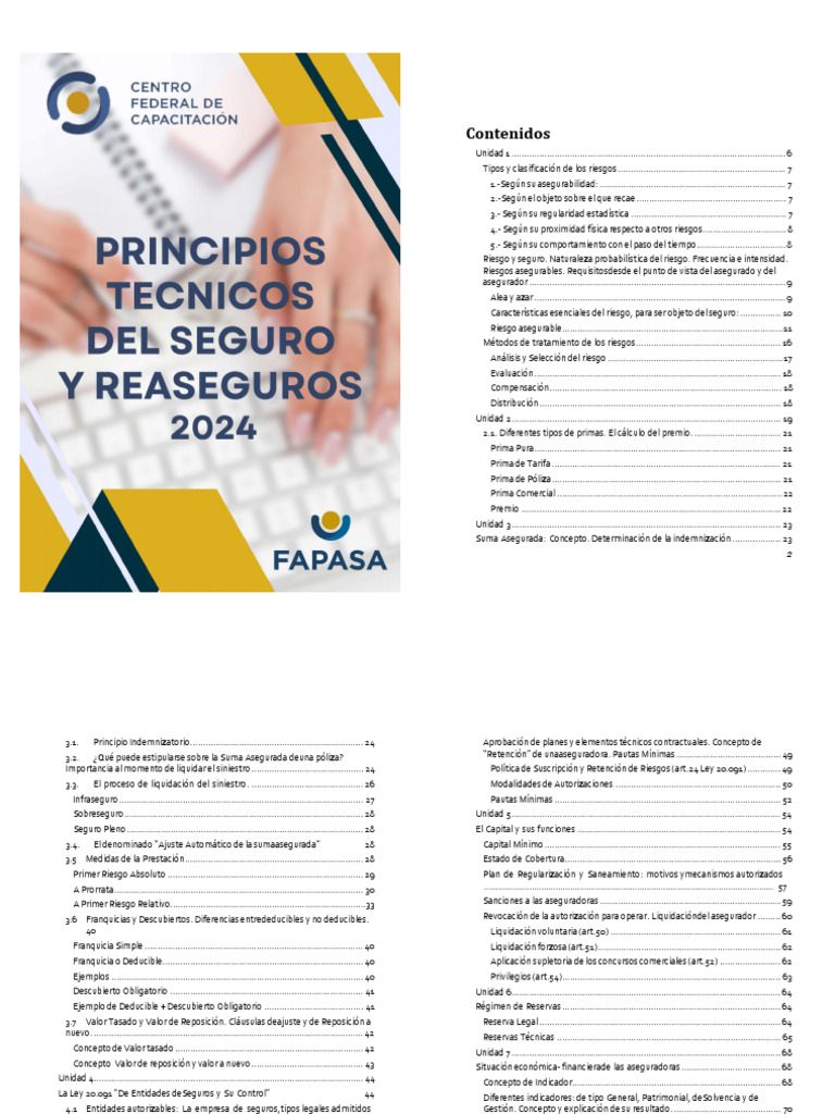 Principios Tecnicos Del Seguro y Reaseguros CFC 2024 | PDF | Seguro | Riesgo